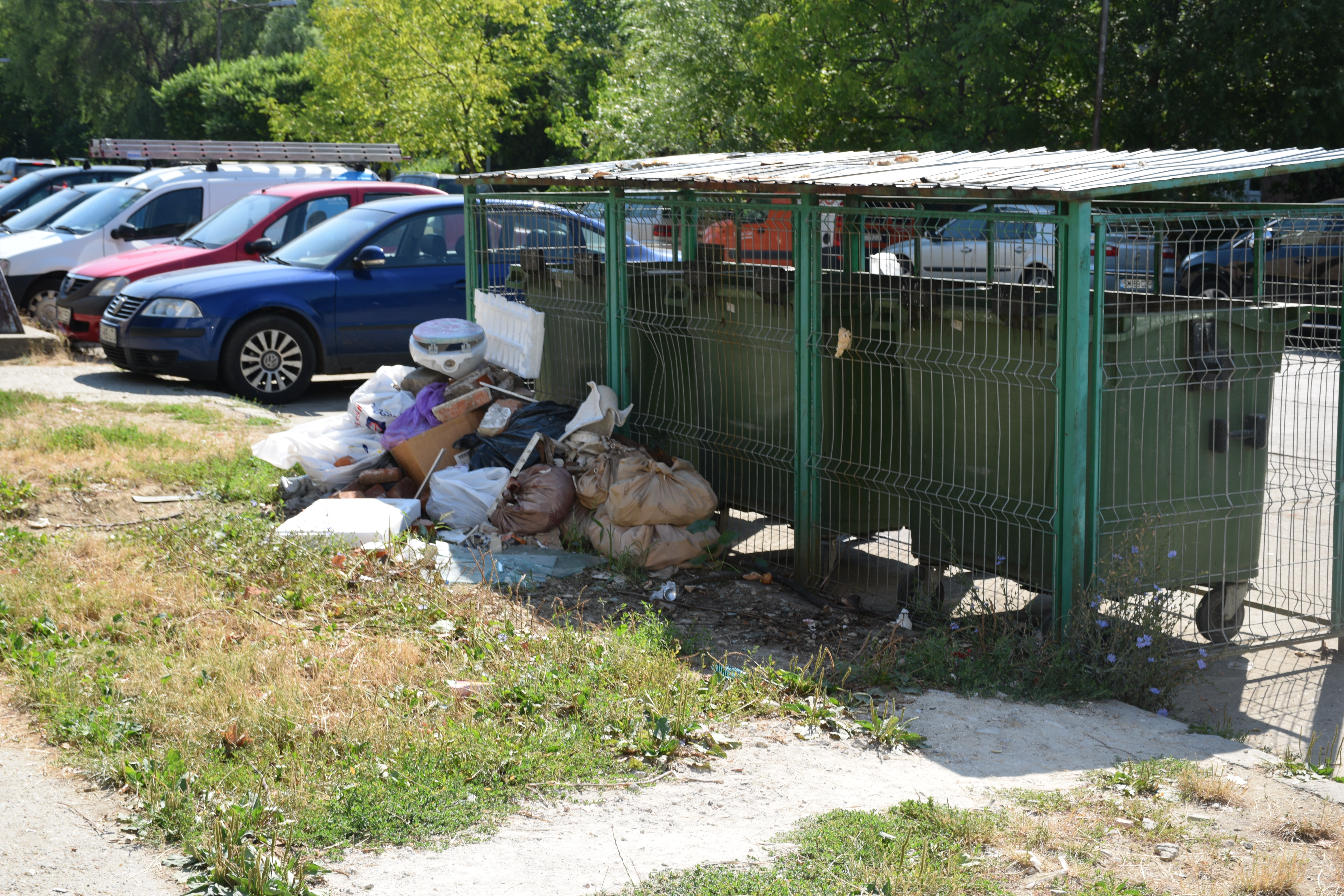 PAMFLET. TOP 10 chestii neștiute despre salubrizarea din Satu Mare ...